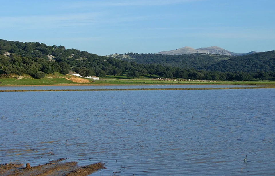 La Laguna de la Alberca de Ronda se incorpora al Inventario Español de ...